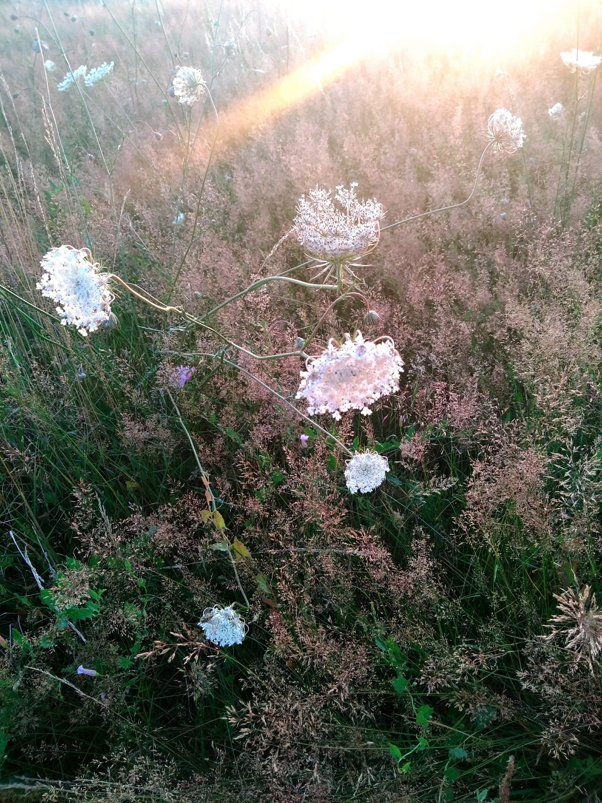 Stéphanie Perrot – Prendre soin de Soi, c'est maintenant