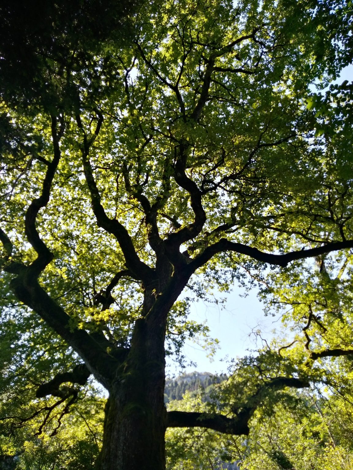 Stéphanie Perrot – Prendre soin de Soi, c'est maintenant